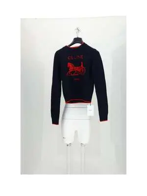 Celine Crewneck Sweater - Multicolor