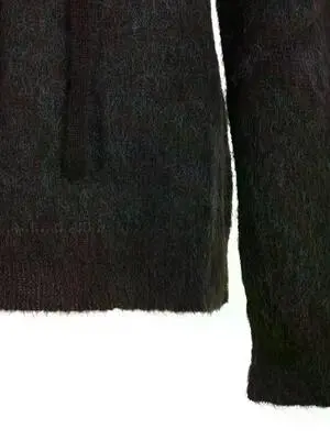 P.a.r.o.s.h Hooded Sweater