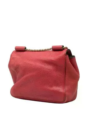 Chloé 2010 Small Grained Calfskin Elsie Crossbody Bag