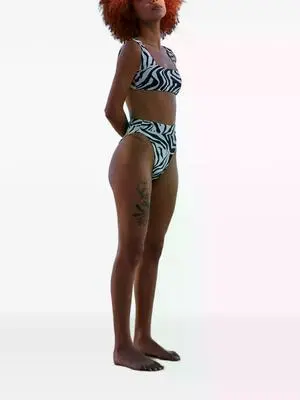 HAIGHT. Beta Zebra-print Bikini Bottoms