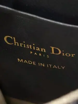 Dior 2015-2026 Oblique Canvas Vertical Saddle Pouch Crossbody Bag