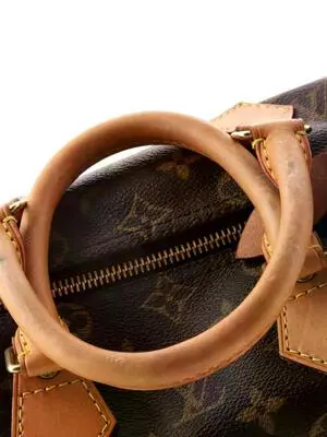LOUIS VUITTON Speedy Handbag Monogram Canvas 25 Satchel