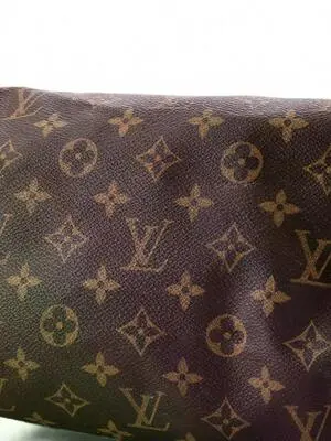 LOUIS VUITTON Speedy Handbag Monogram Canvas 25 Satchel