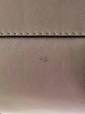 Loewe Hammock Bag Leather And Canvas Mini Crossbody Bag