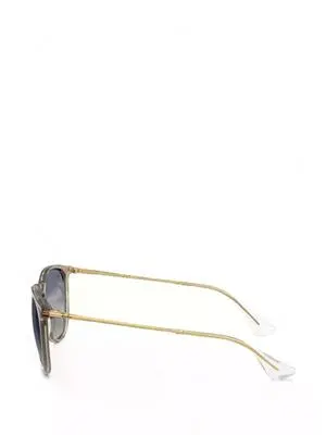 Ray-ban Erika Classic Sunglasses