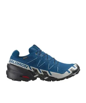SALOMON Speedcross 6 Gtx Sneakers