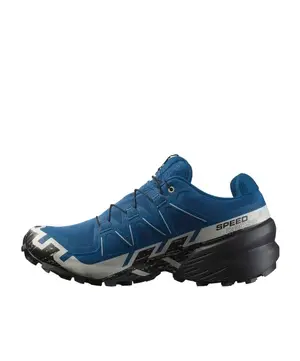SALOMON Speedcross 6 Gtx Sneakers
