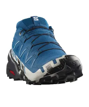 SALOMON Speedcross 6 Gtx Sneakers