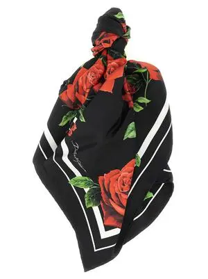 Dolce & Gabbana Rose' Scarf - Black