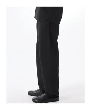 Veilance Saic Pant