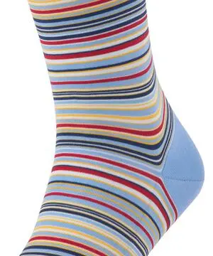 Falke Microblock Socks
