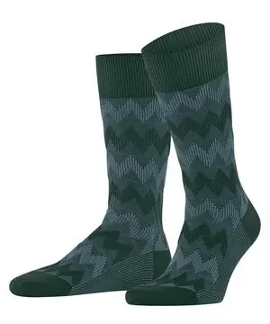 Falke Family Special Edition Socks - Green