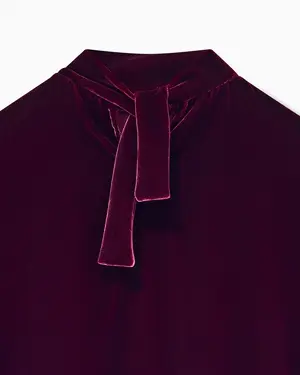 Giorgio Armani Blouse In Velvet With Stand-up Collar And Ribbons - Burgundy