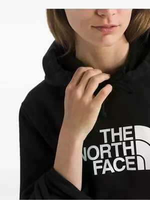 The North Face Evolution Half Dome Hoodie