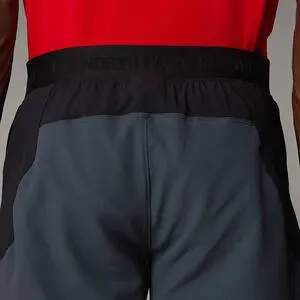 The North Face Circadian Alpine Colour-blocked Shorts