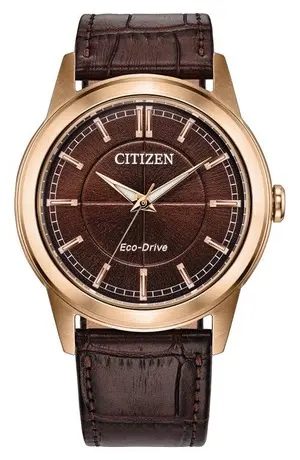 Citizen Rolan Eco-drive Leather Strap Watch - Brown