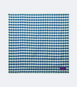 Loewe X Cosima Von Bonin Checked Silk Twill Scarf