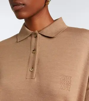 Max Mara Virgin Wool Polo Sweater - Brown