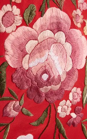 CONNER IVES Piano Shawl Silk Gown