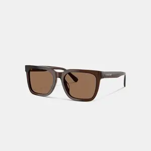COACH Square Sunglasses - Transparent Brown