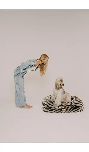 LOLA BLANKETS Large Pet Bed In Multi - Zebra