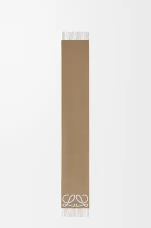 Loewe Scarf In Silk And Cashmere - Beige/light Blue
