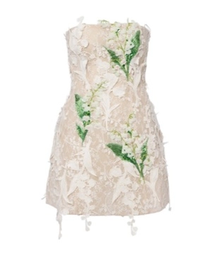 LEO Embellished Lace Bustier Dress