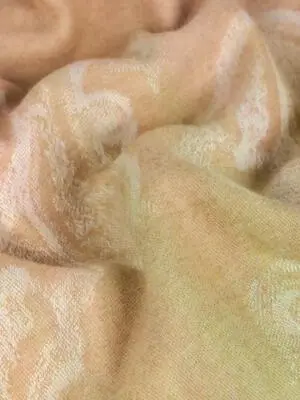 Etro Paisley Jacquard Throw Blanket