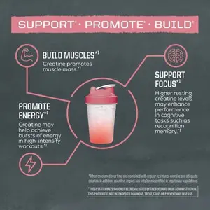 SUNWARRIOR Active Creatine Monohydrate Powder