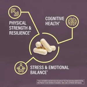SUNWARRIOR Active Creatine Capsules For Her 40