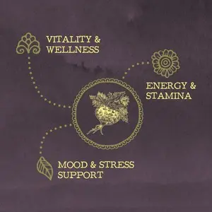 SUNWARRIOR Organic Be Well Maca Powder