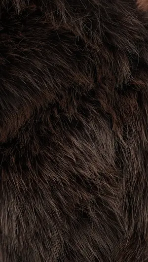 Blanknyc Steady Rise Faux Fur Jacket