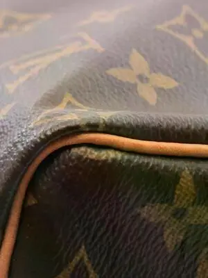 LOUIS VUITTON 2010s 25 Speedy Monogram Tote Bag