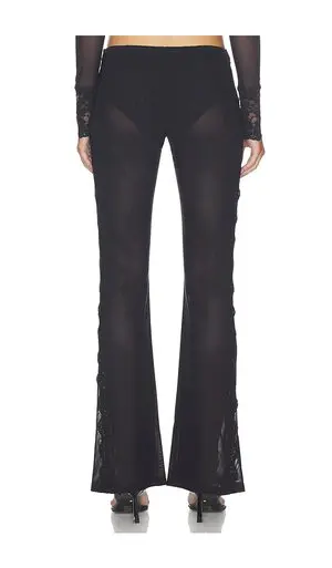 HAELO Wave Lace Legging