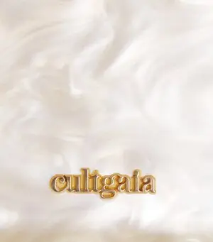 Cult Gaia Acrylic Ilaria Clutch Bag