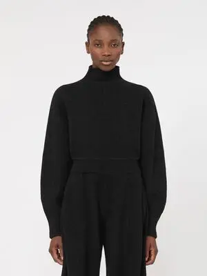 Max Mara Cropped Wool And Cashmere Jersey Sweatshirt