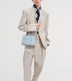 Bottega Veneta Baby Leather Barbara Tote Bag