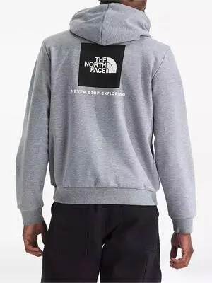 The North Face Never Stop Exploring® Evolution Box Nse Regular Hoodie