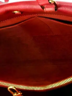 LOUIS VUITTON Venus Handbag Monogram Canvas And Leather Satchel