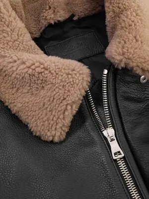 Mr P. Shearling-trimmed Full-grain Leather Blouson Jacket