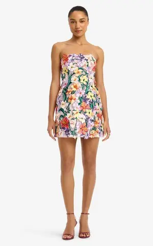 LEO LIN Roselle Hand-embroidered Mini Dress - Multi