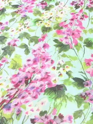 Dolce & Gabbana 2010s Floral-print Scarf
