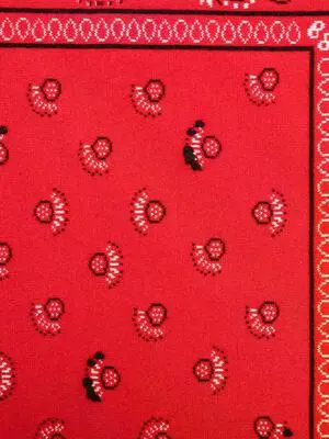 BARRIE Paisley-print Scarf