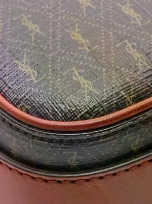 Saint Laurent 2020s Monogram Camera Shoulder Bag