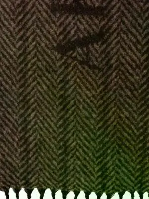 Armani Exchange Herringbone-pattern Logo-print Scarf