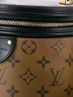 LOUIS VUITTON Cannes Handbag Reverse Monogram Canvas Satchel - Brown