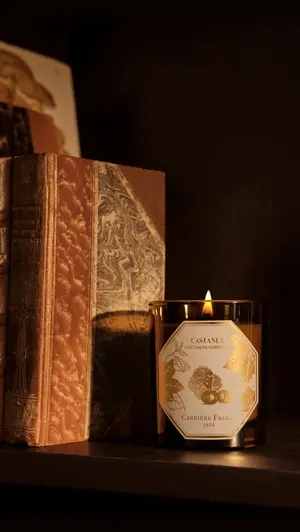 CARRIERE FRERES Chestnut Candle 6.5