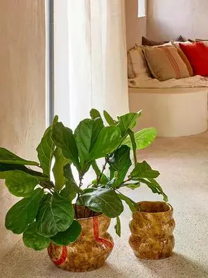 POMAX Mani Sculptural Flower Pot