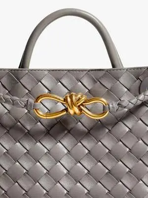 Bottega Veneta Andiamo Small Leather Crossbody Bag