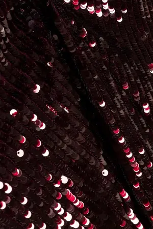Simkhai Sequined Maxi Dress